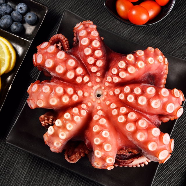 Wholesale FROZEN OCTOPUS Factory and Supplier | Captain Jiang